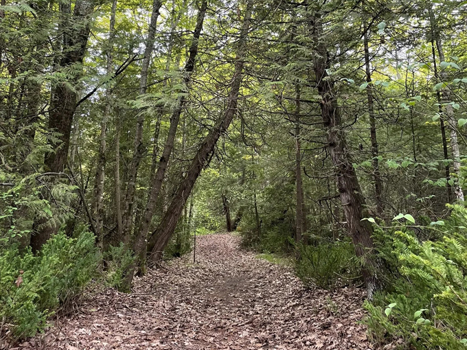 South Manitou Island 7