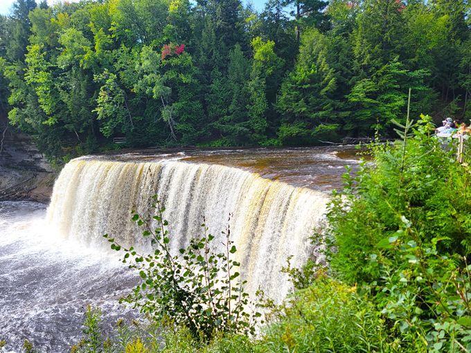 Tahquamenon Falls 2
