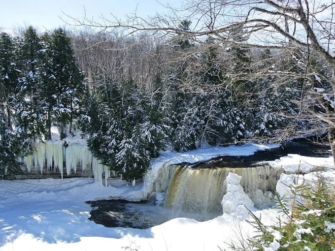Tahquamenon Falls 6