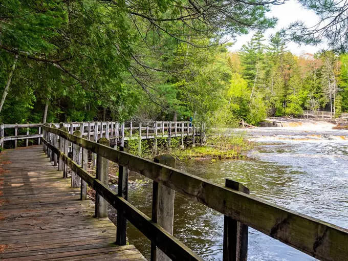 Tahquamenon Falls 8