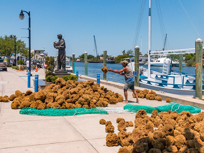 Tarpon Springs 3
