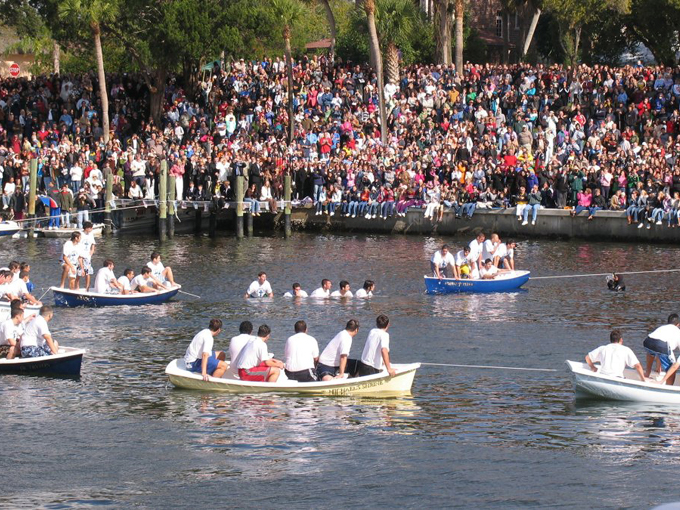 Tarpon Springs 8