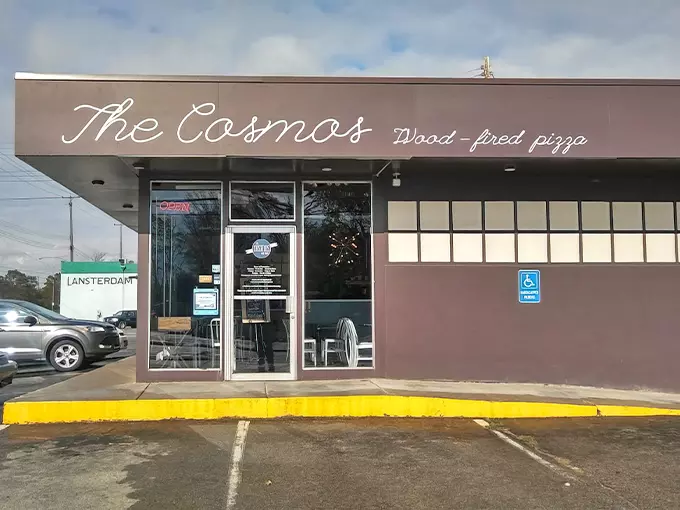 The Cosmos 1