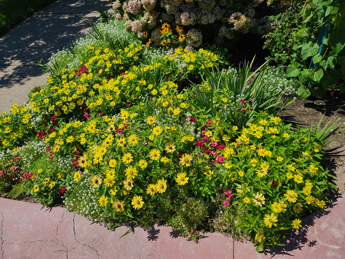 The Monet Garden of Muskegon 2