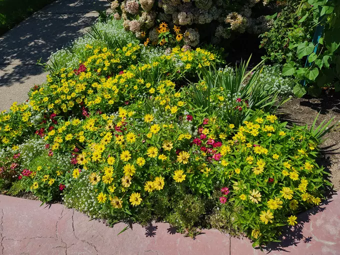 The Monet Garden of Muskegon 2