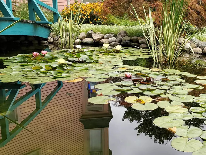 The Monet Garden of Muskegon 3