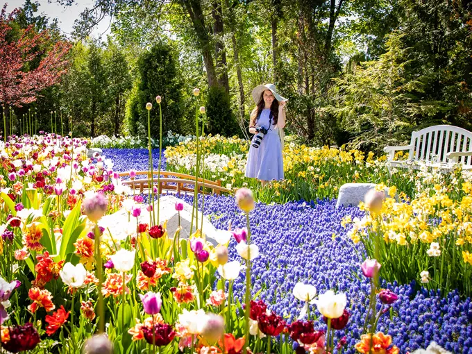 The Secret Garden at The Grand Hotel 2