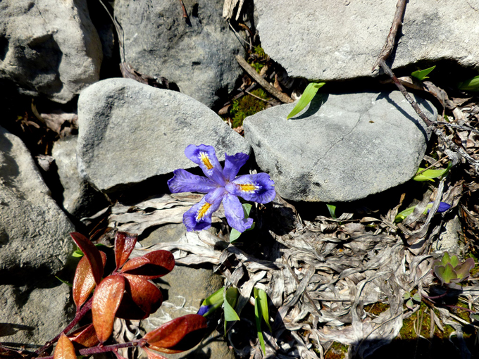 Thompson’s Harbor State Park 7