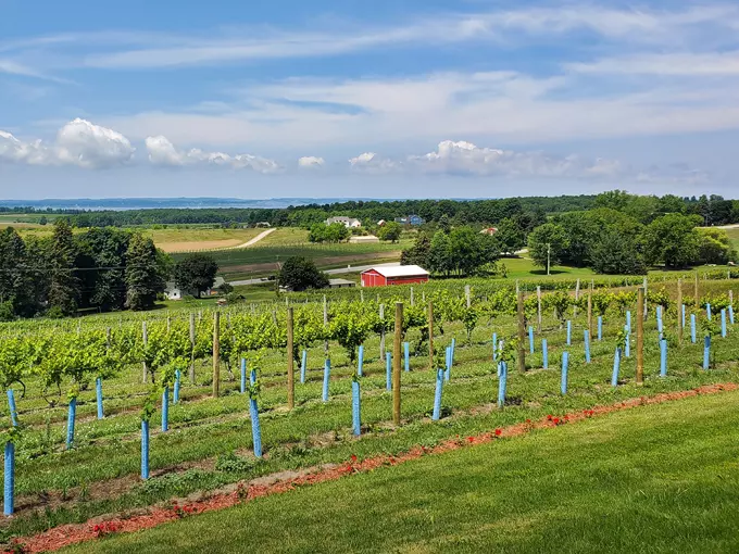 Traverse City 5