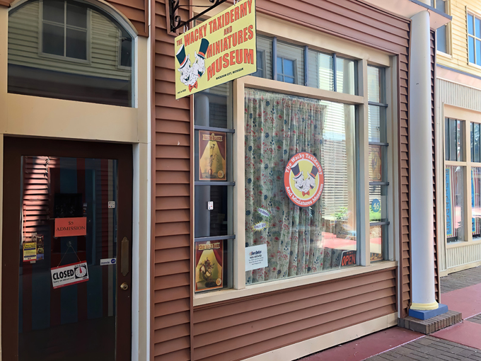 Wacky Taxidermy and Miniatures Museum 1