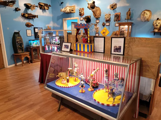 Wacky Taxidermy and Miniatures Museum 3