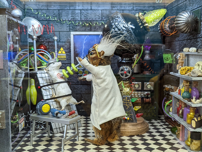 Wacky Taxidermy and Miniatures Museum 5