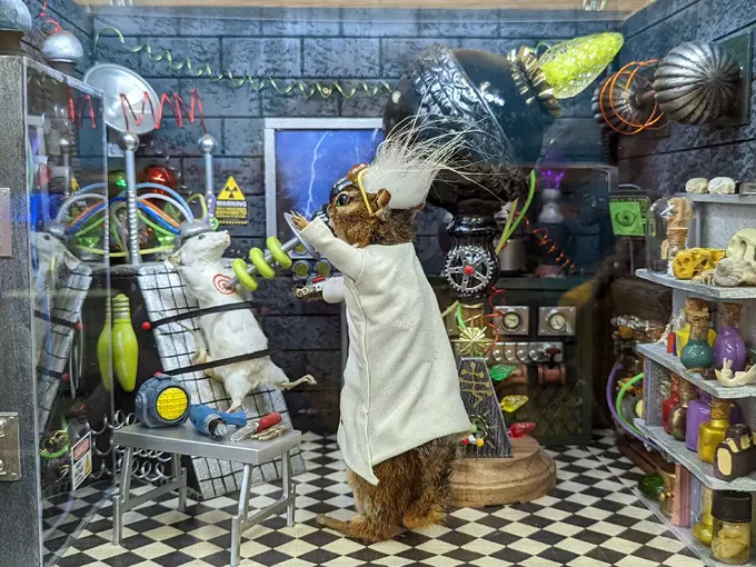Wacky Taxidermy and Miniatures Museum 5