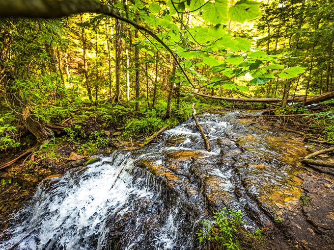 Wagner Falls 7