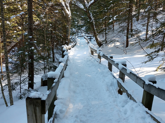 Wagner Falls 8