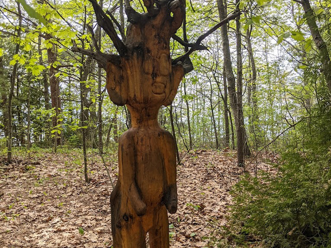 walk of art sculpture park 1