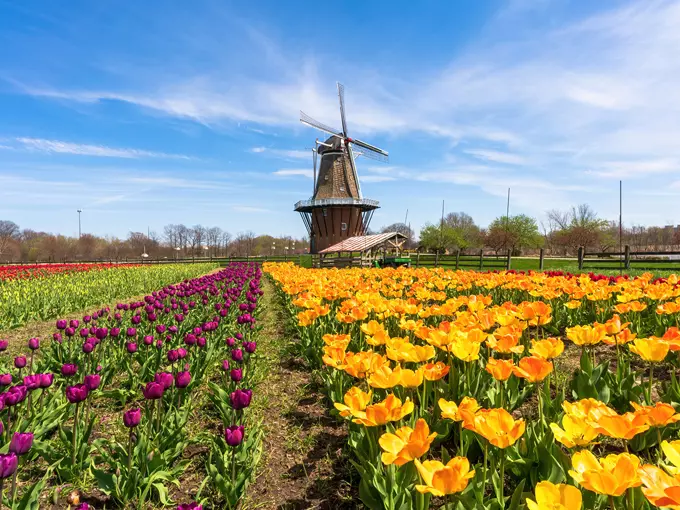 Windmill Island Gardens 1