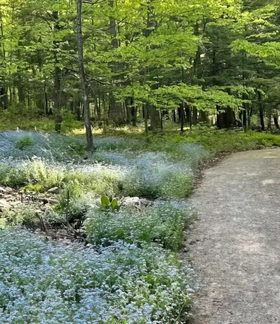 half mile hike wisconsin ftr