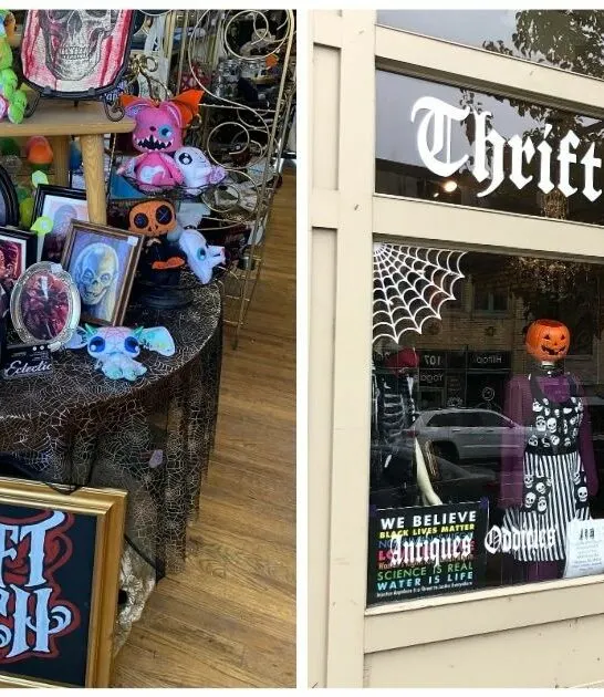 horror thrift shop michigan ftr