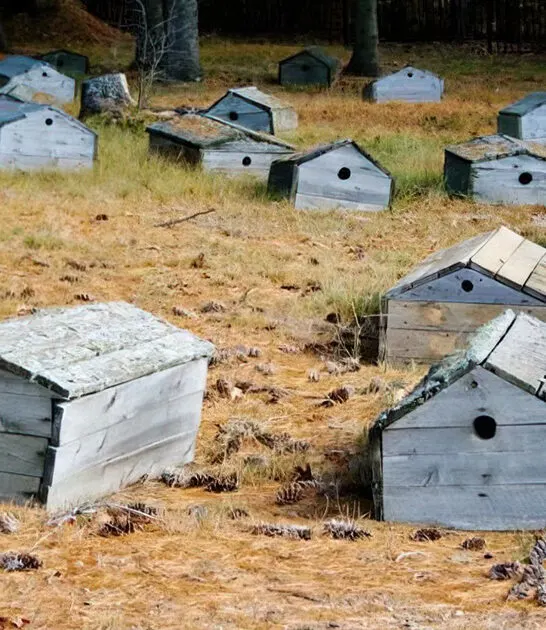 mysterious burial ground michigan ftr