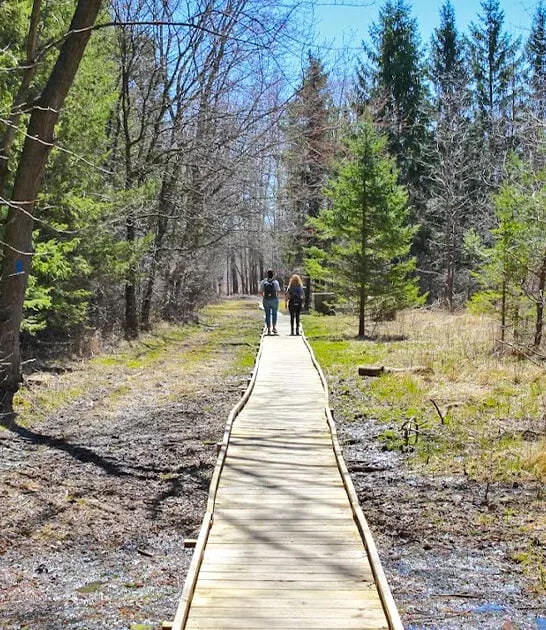 picturesque trail wisconsin ftr