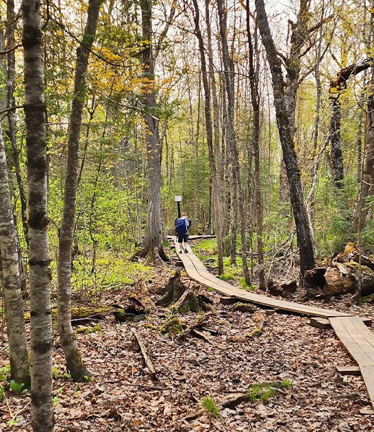 1 mile hike minnesota ftr