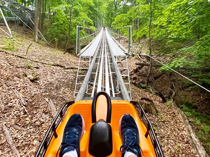 Aerie's Alpine Coaster 1