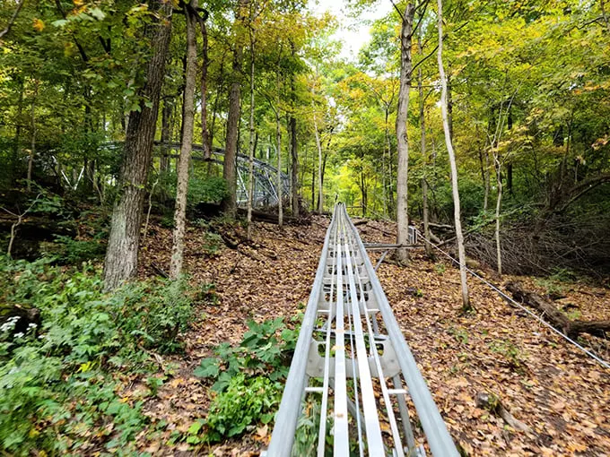 Aerie's Alpine Coaster 2