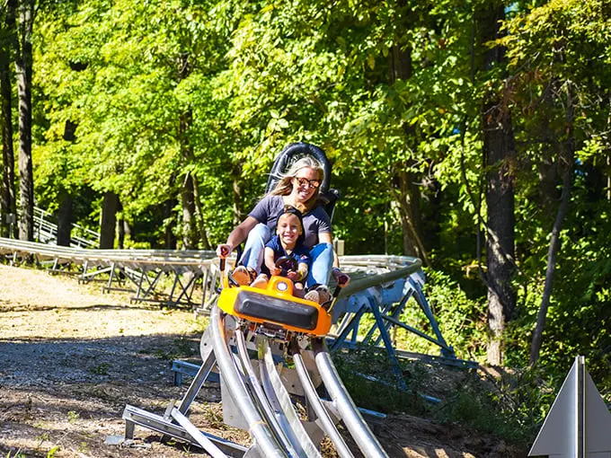 Aerie's Alpine Coaster 3