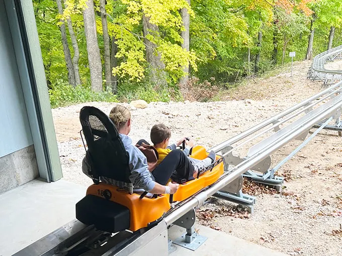 Aerie's Alpine Coaster 4