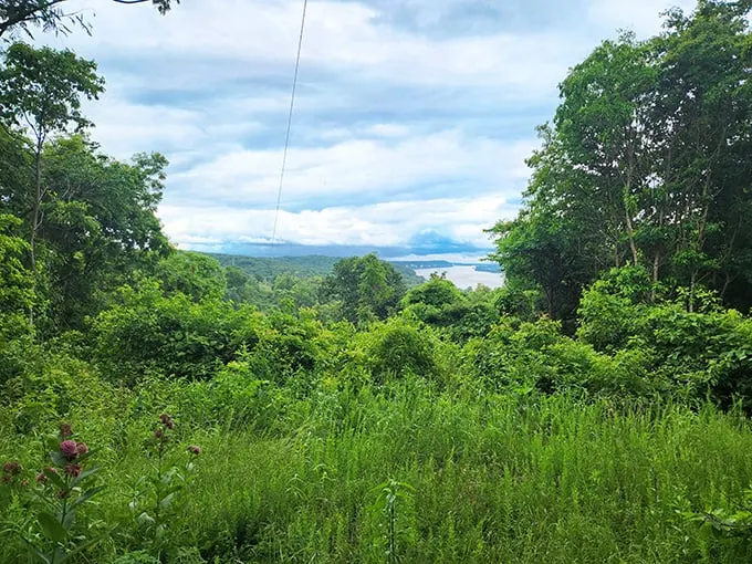 Aerie's Alpine Coaster 5