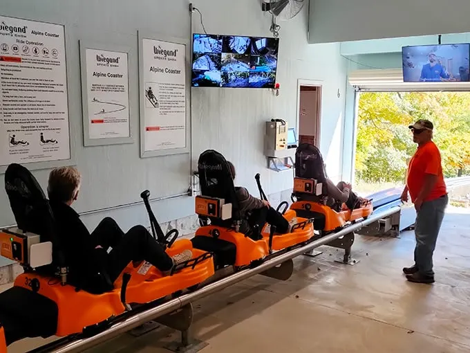 Aerie's Alpine Coaster 8