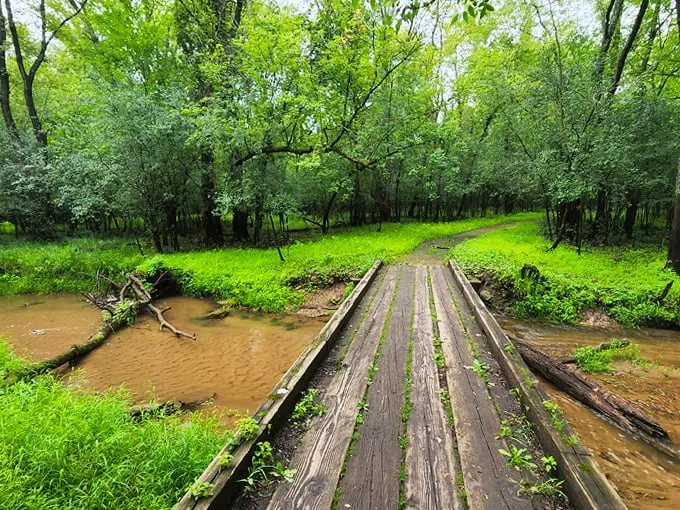 Afton State Park 9