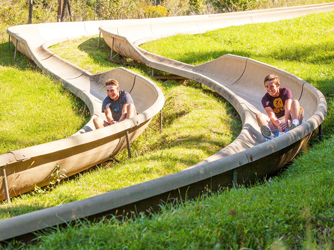 Alpine Slide 1