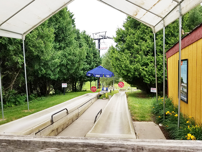 Alpine Slide 3