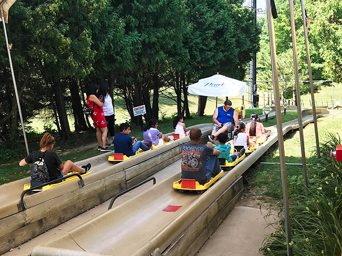 Alpine Slide 5