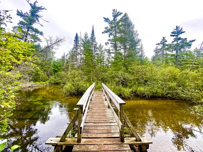 AuSable River Trail 1