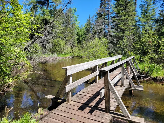AuSable River Trail 5