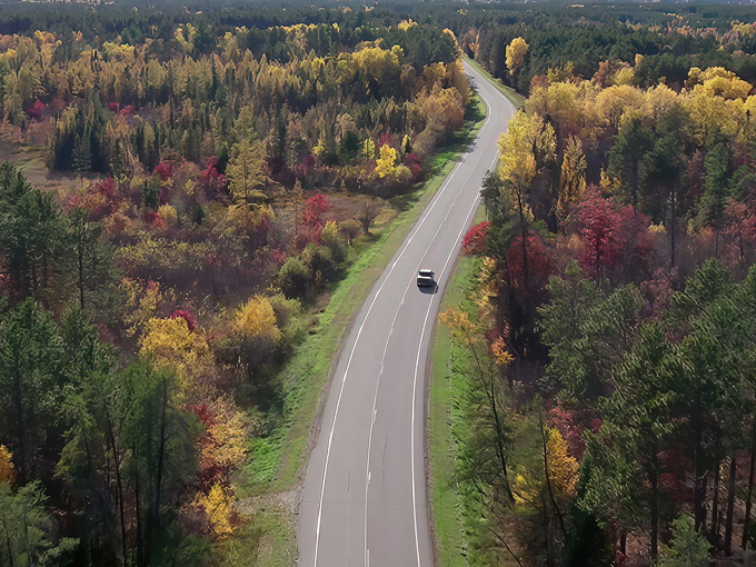 avenue of pines scenic byway 1