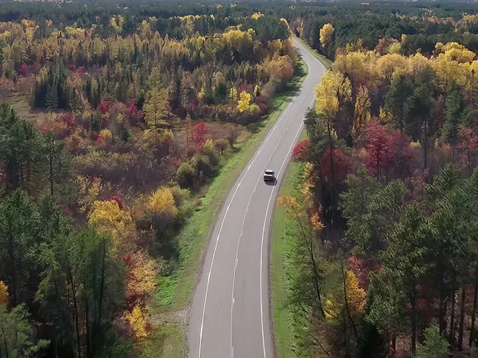 avenue of pines scenic byway 1