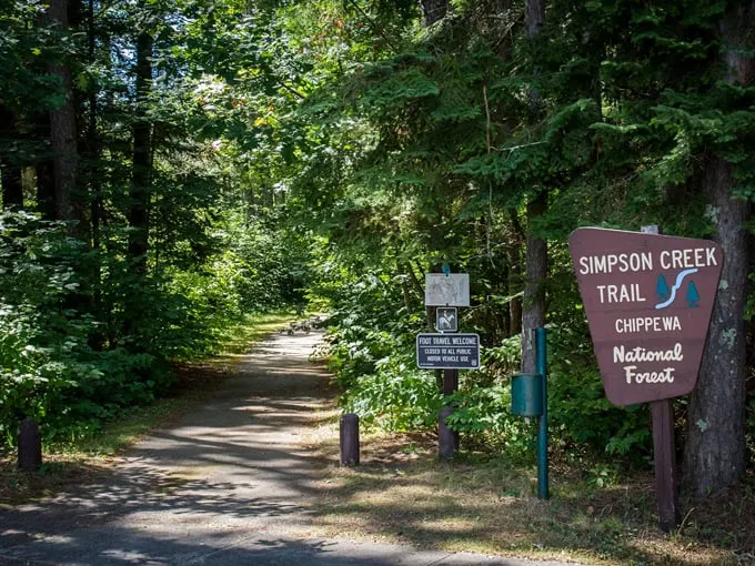 avenue of pines scenic byway 4