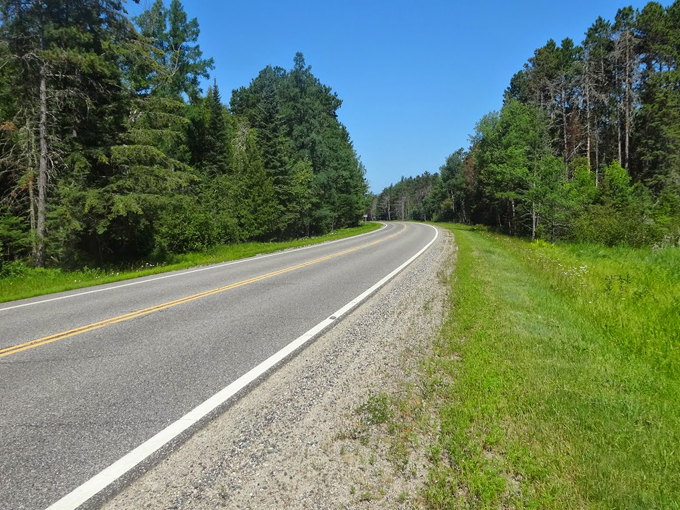 avenue of pines scenic byway 9