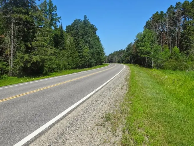 avenue of pines scenic byway 9