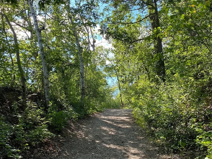 Barn Bluff Trail 8