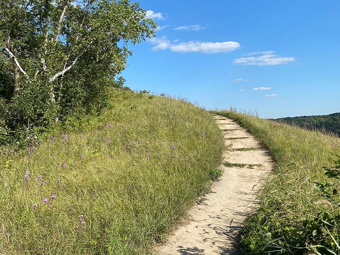 Barn Bluff Trail 9