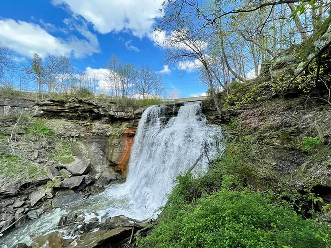 Brandywine Falls 2