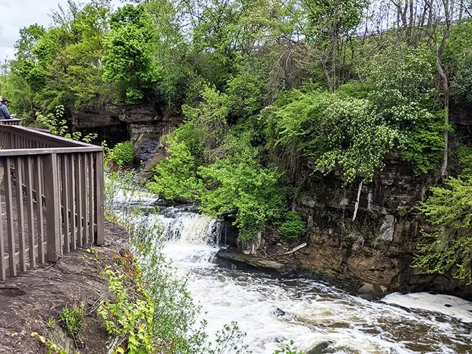 Brandywine Falls 5