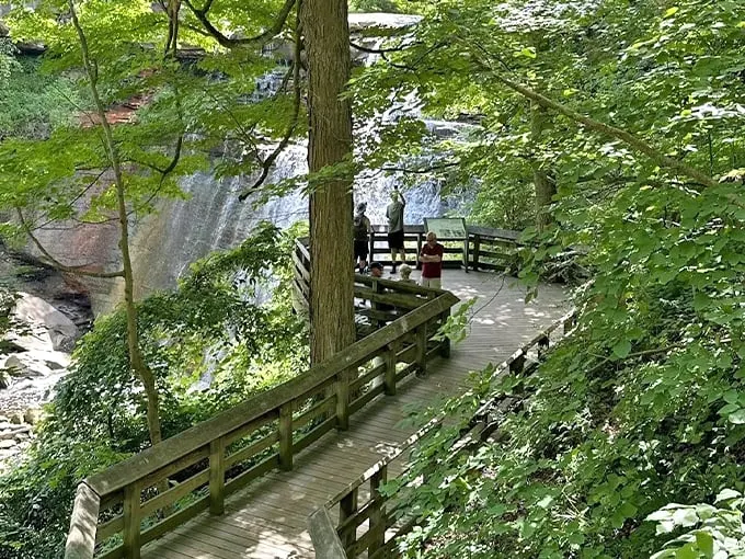 Brandywine Gorge Trail 1