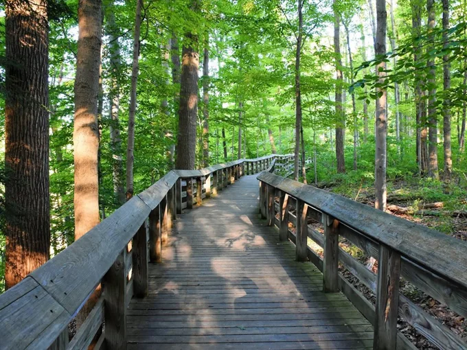 Brandywine Gorge Trail 2