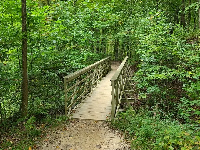 Brandywine Gorge Trail 4